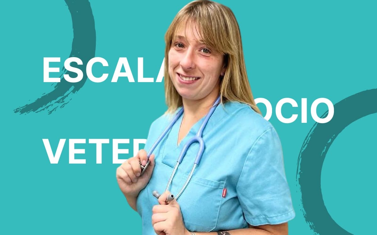 Escalar un Negocio de Veterinaria con 31 años. Entrevista a Leticia ...